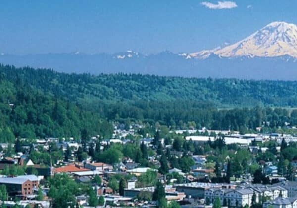 Countertops Kent Washington | Kent Countertops Floform